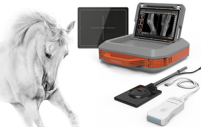 Veterinary Digital X-Ray Imaging Solutions