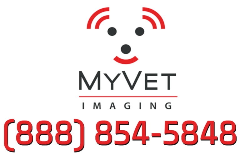 Intraoral Imaging System Package – MyVet Imaging Blog