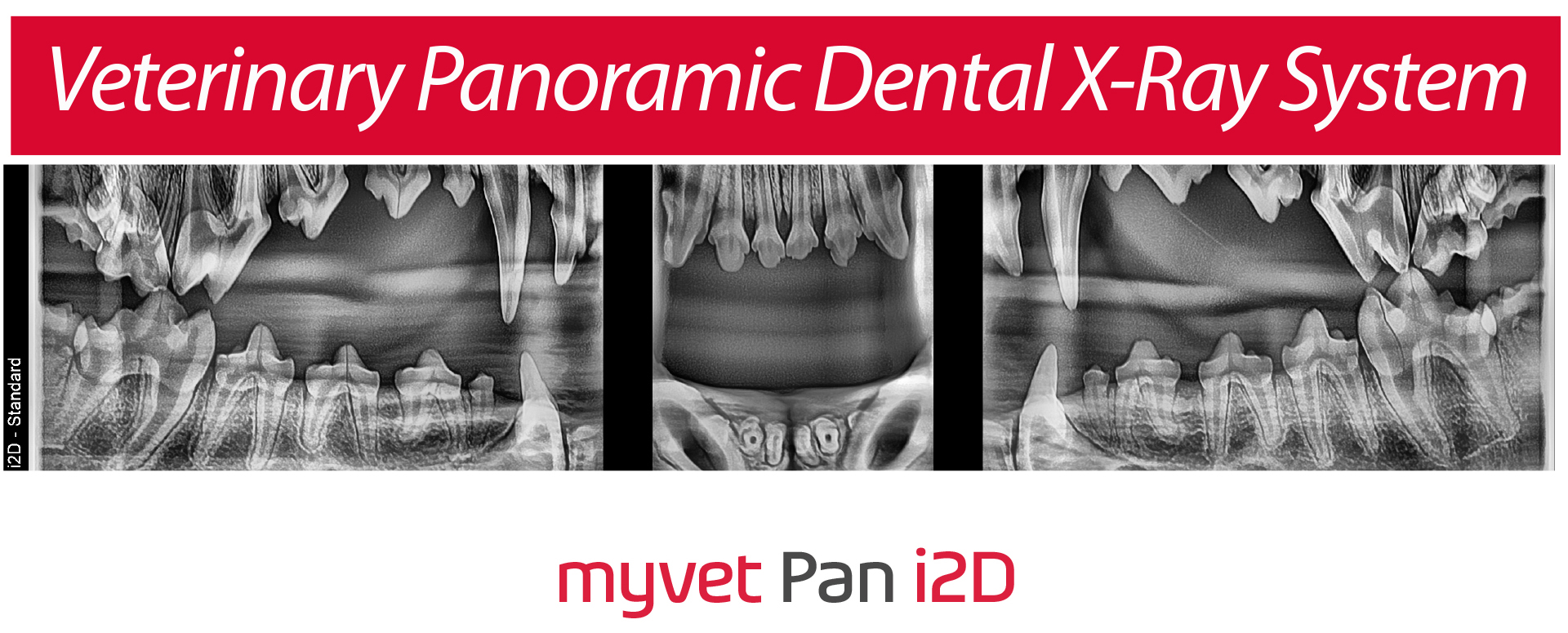 The World’s First Veterinary Specialized Panoramic X-Ray System – News ...